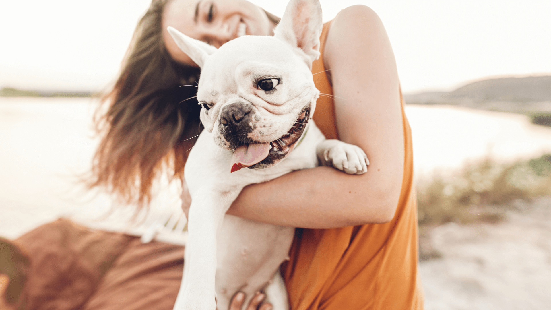 Surgical Release Form | Hill Country Vet Surgical Specialty